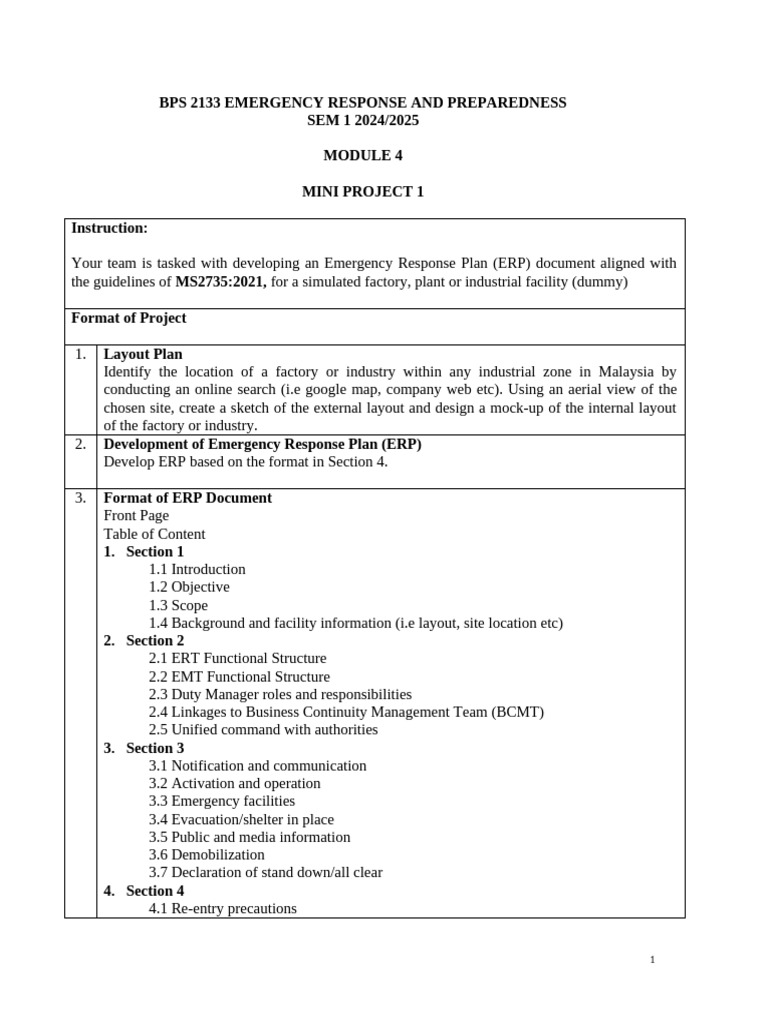 (ERP Document) Mini Project Sem 1 2024-2025 | PDF