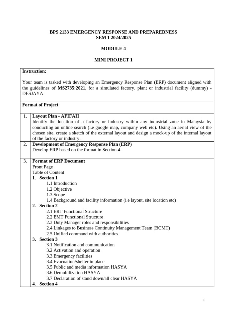 (ERP Document) Mini Project Sem 1 2024-2025 | PDF