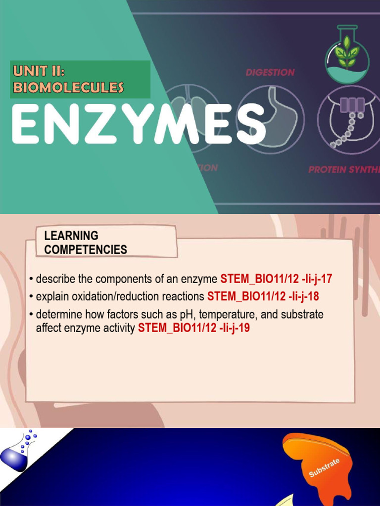 Genbio Lec 5 - Biomolecules Enzymes - For 12 Stem | PDF | Enzyme | Cofactor (Biochemistry)