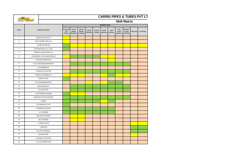 Skill Matrix | PDF