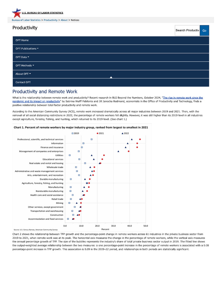 US Remote Work and Productivity | PDF