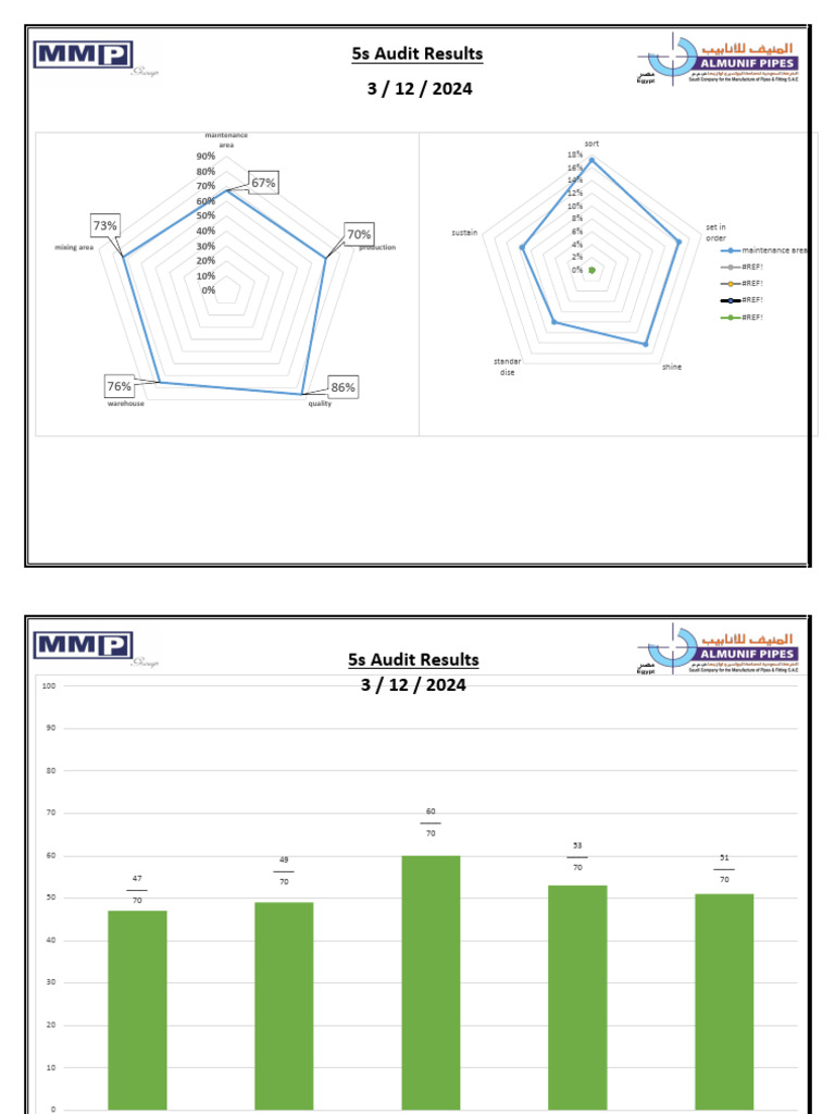 Radar Chart 5s Audit | PDF