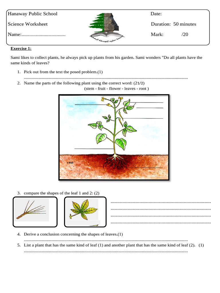 Lesson 1 2 3 Worksheet Pdf Leaf Plants