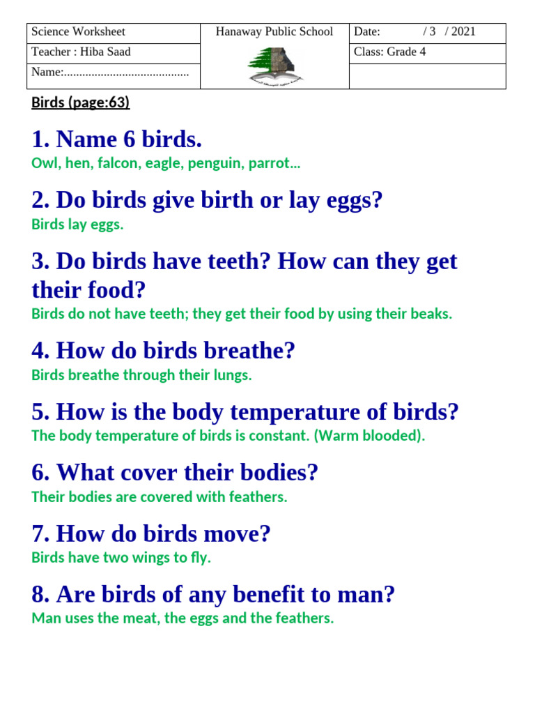 Birds | PDF