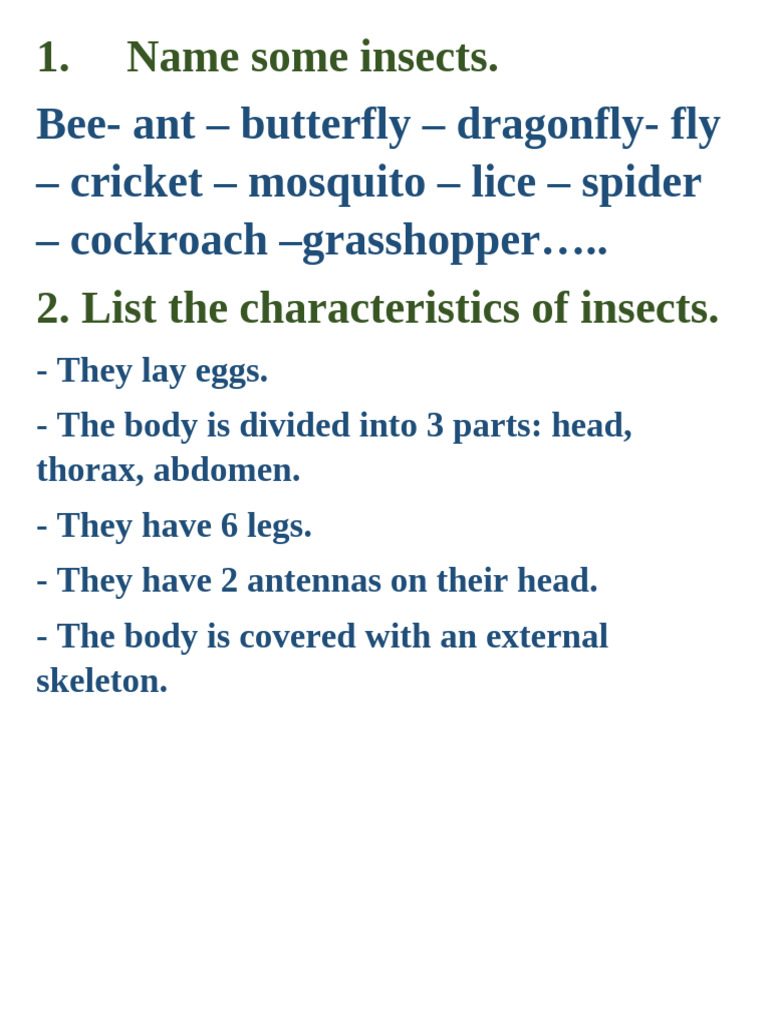 Insects | PDF
