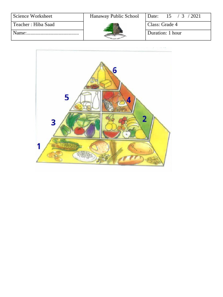 Gr4-Balanced Diet Exercises | PDF | Foods | Eating Behaviors Of Humans