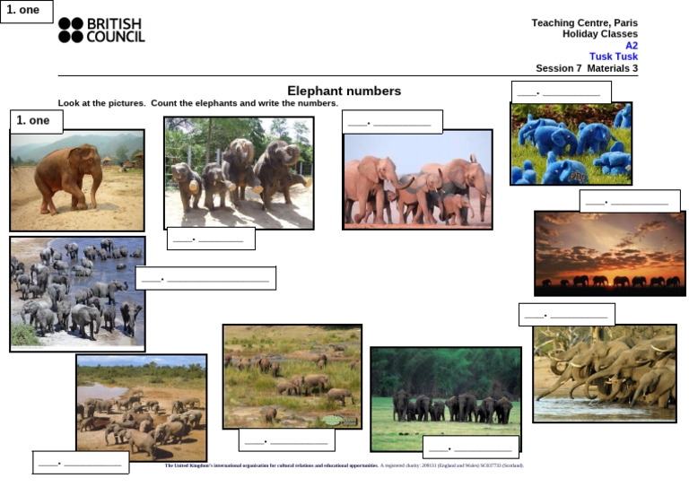 Session7 Materials3 - Elephant Numbers | PDF