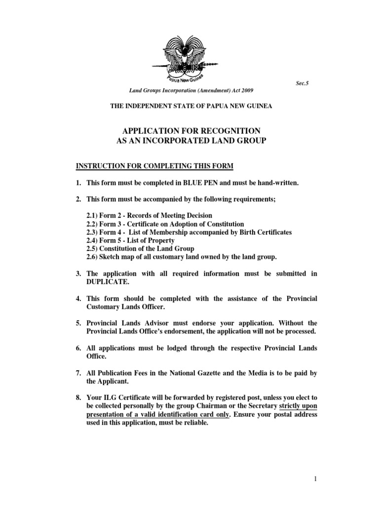 ILG Application Form Instructions | PDF | Government | Justice