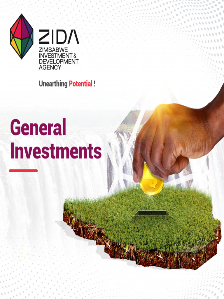 ZIDA Investment License Guidelines | PDF | Value Added Tax | Taxes