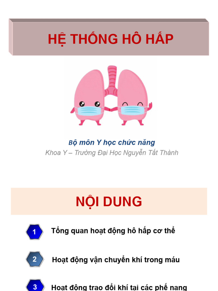 B4 - SL Ho Hap NTT 2024 | PDF