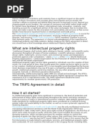Trips Agreement | PDF | Intellectual Property | Trips Agreement
