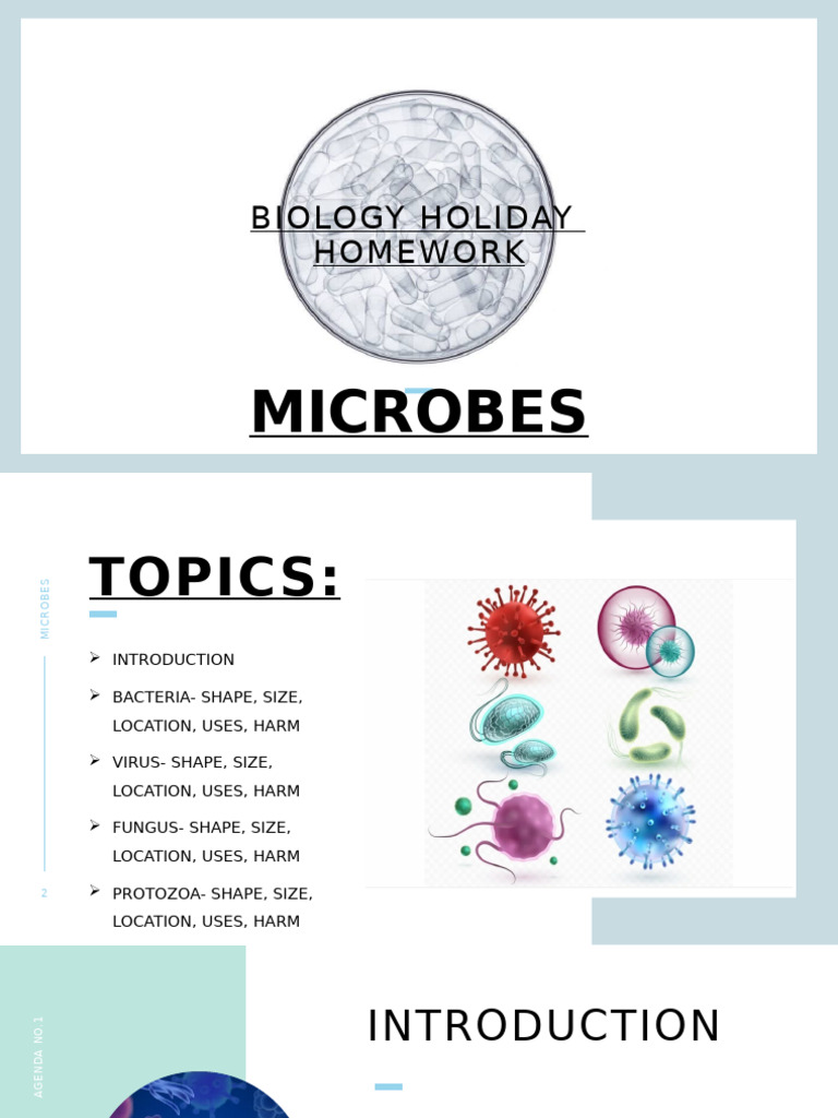 Biology Holiday Homework | PDF | Bacteria | Microorganism