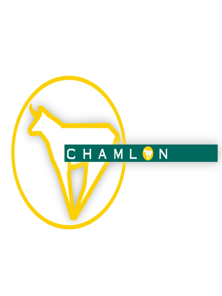 Chamlon Logo | PDF