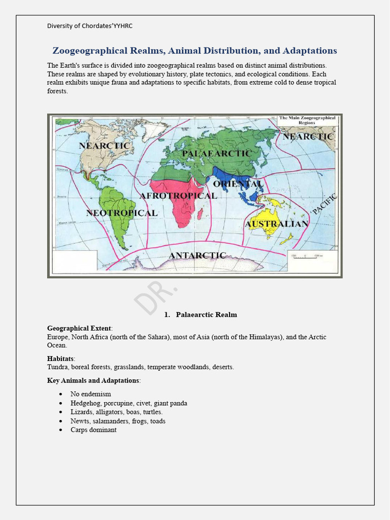 Zoogeographical Realms | PDF | Lizard | Birds