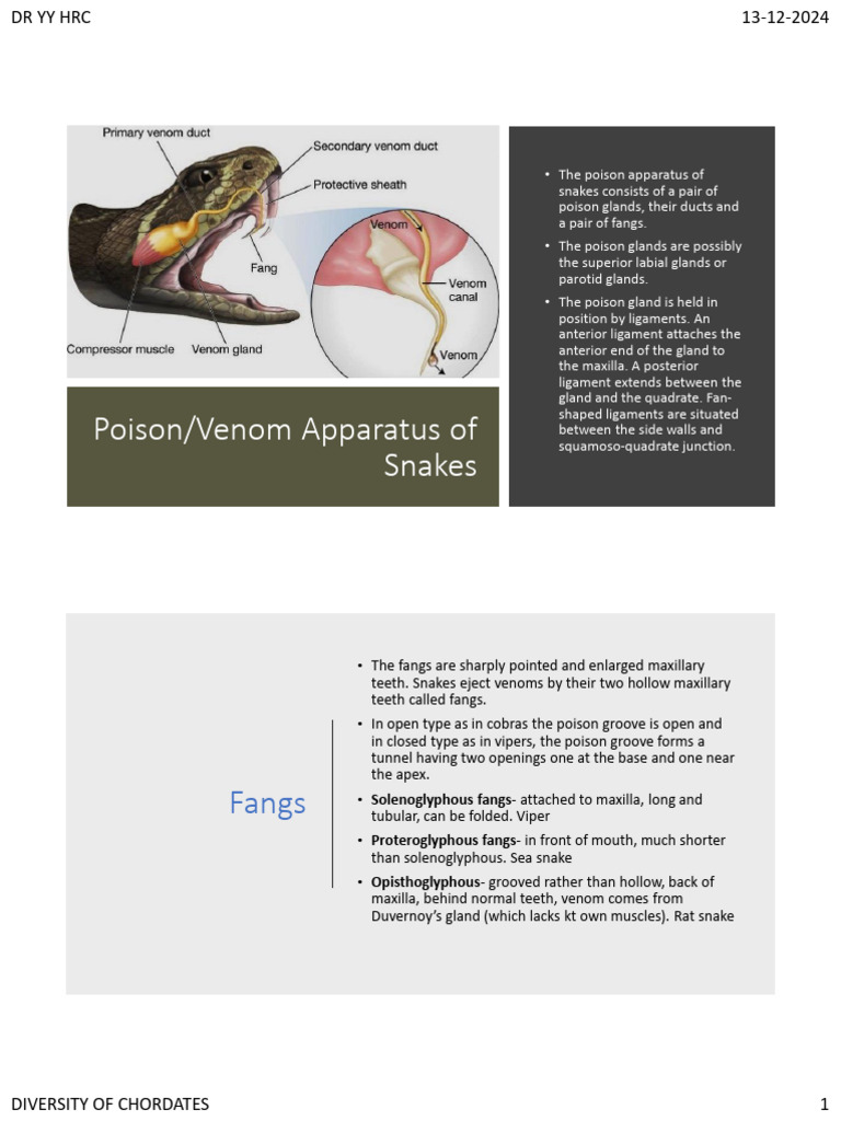 Snakes Poison Apparatus Sphenodon Hrc'24 | PDF