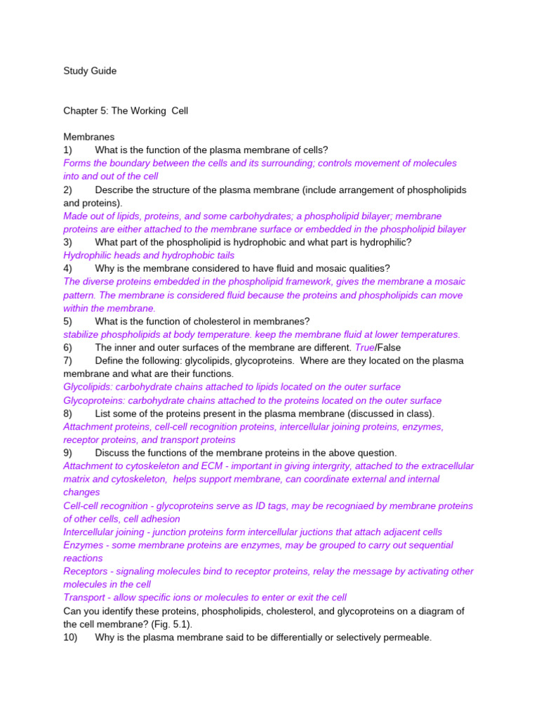 Biology 103: Cell Membrane Study Guide | PDF | Meiosis | Cellular ...