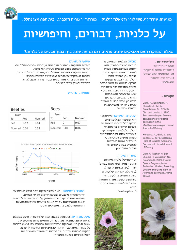 Anemone Coronaria Plants (Basel) | PDF