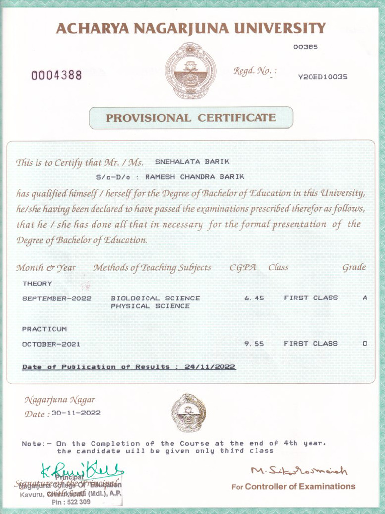 Provisional Certificate | PDF