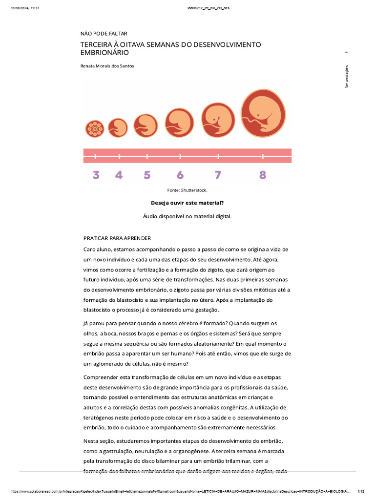 Terceira À Oitava Semanas Do Desenvolvimento Embrionário | PDF ...