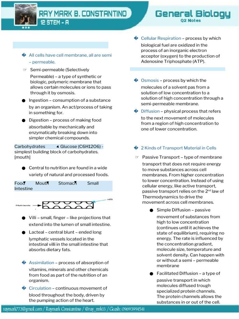 Gen Bio q2 Notes | PDF | Cellular Respiration | Adenosine Triphosphate