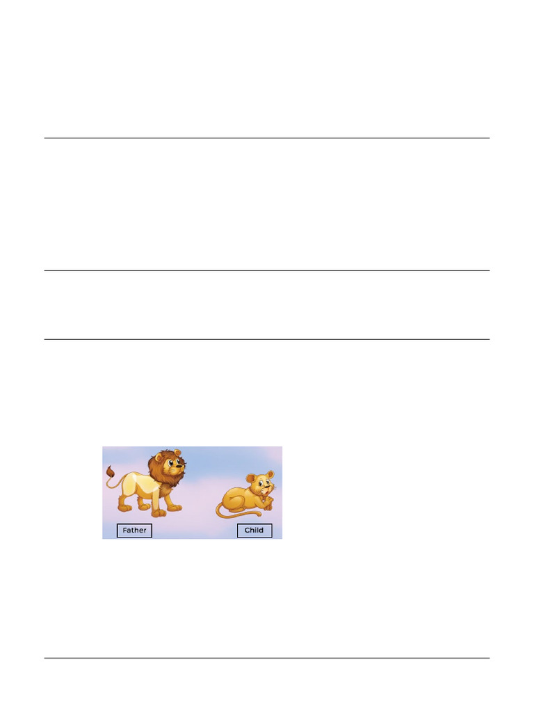 ICSE 2024 Computer Applications Specimen | PDF | Programming Paradigms | Computing