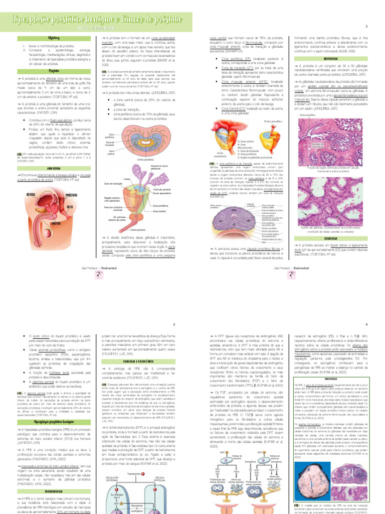 Apg Hpb e Cancer | PDF | Próstata | Câncer