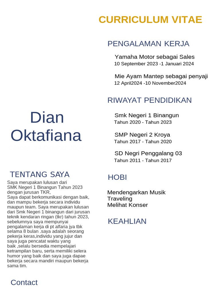 CV Dian | PDF