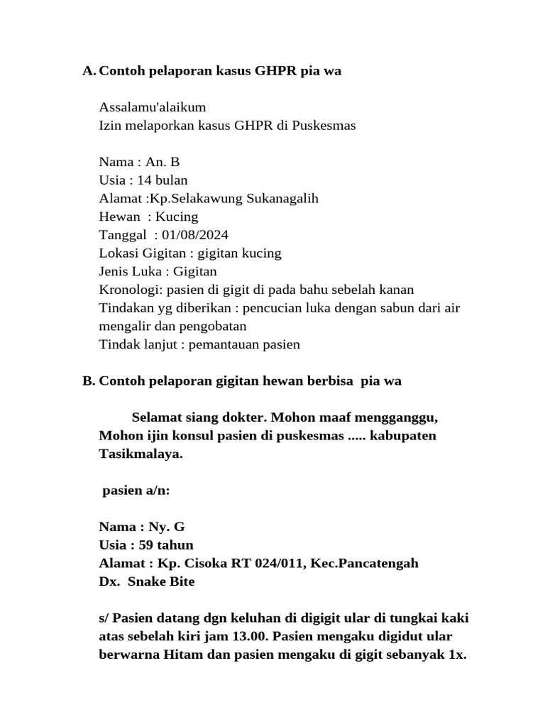 Contoh Pelaporan Kasus GHPR Pia Wa | PDF