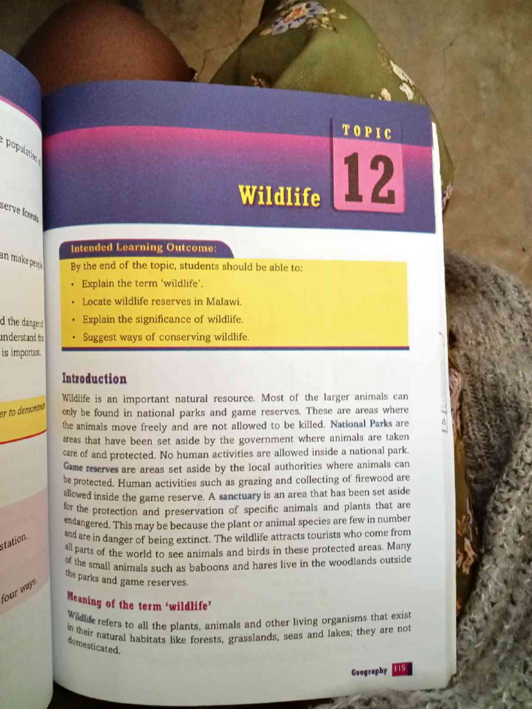 Unit 12 - Wildlife | PDF