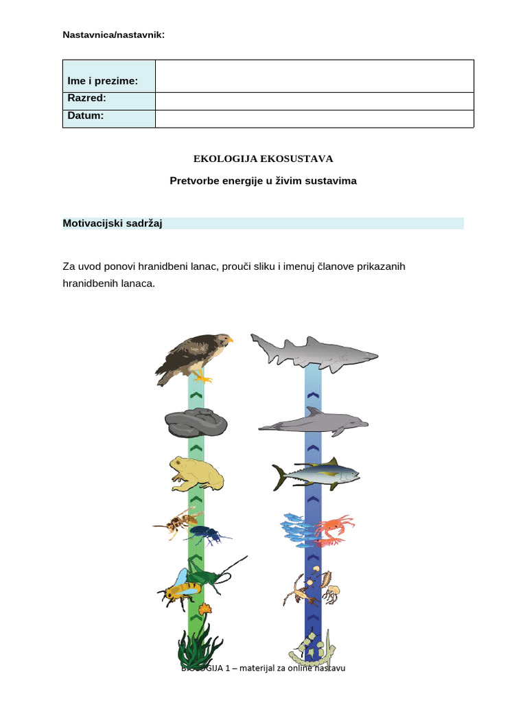43. i 44. Ekologija ekosustava (Pretvorbe energije u živim sustavima ...