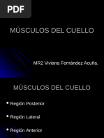 Musculos de La Nuca | PDF | Anatomía humana | Sistema musculoesquelético