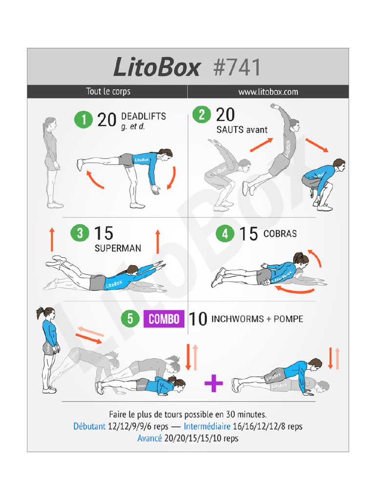 Litobox Circuit 741 | PDF