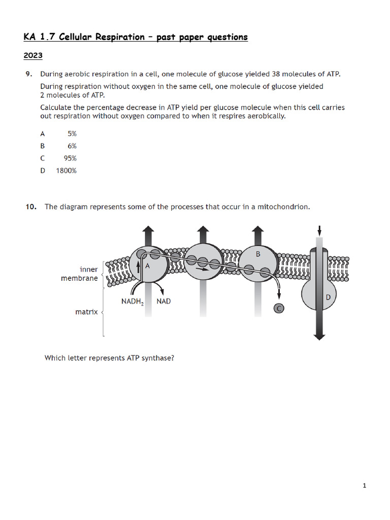 KA1.7 Cellular respiration pp qs | PDF