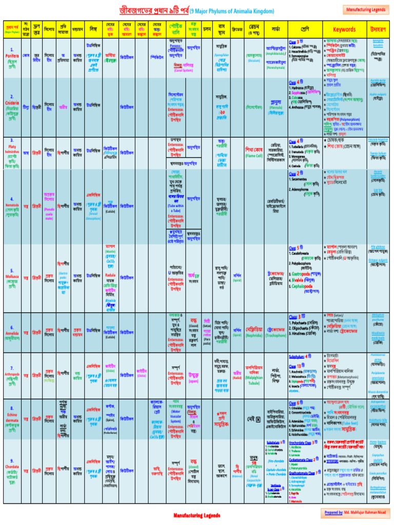 Major Phylums of Animalia Kingdom at a Glance Animal Classification ...