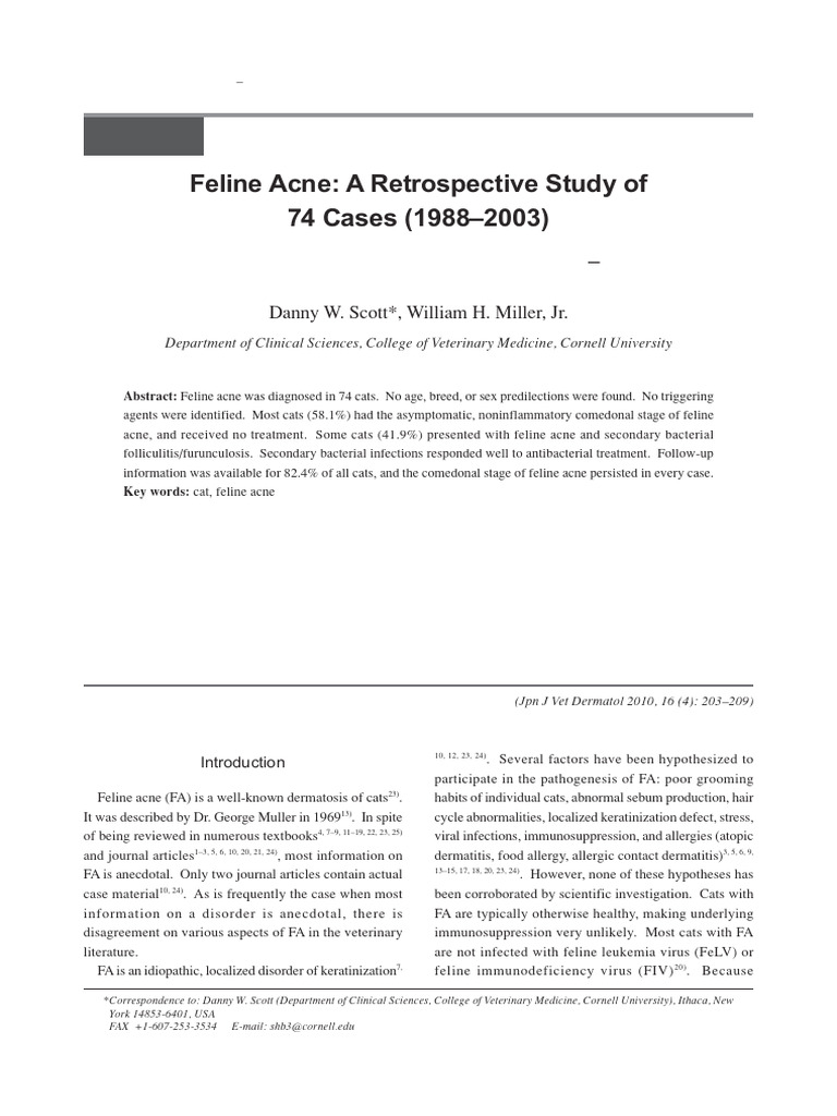 Feline Acne | PDF | Allergy | Medical Specialties