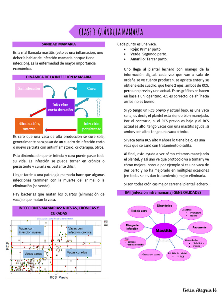 CLASE 3 Med Interna Mayor | PDF | Leche | Vacas