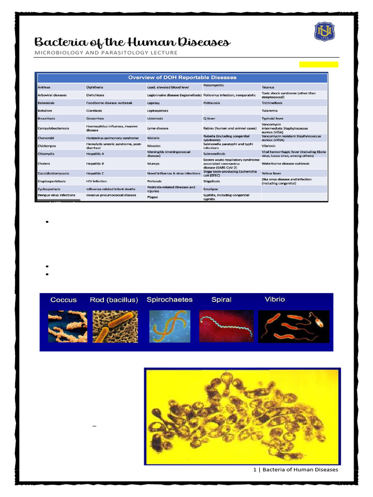 Bacteria of The Human Diseases 1 | PDF | Bacteria | Staining