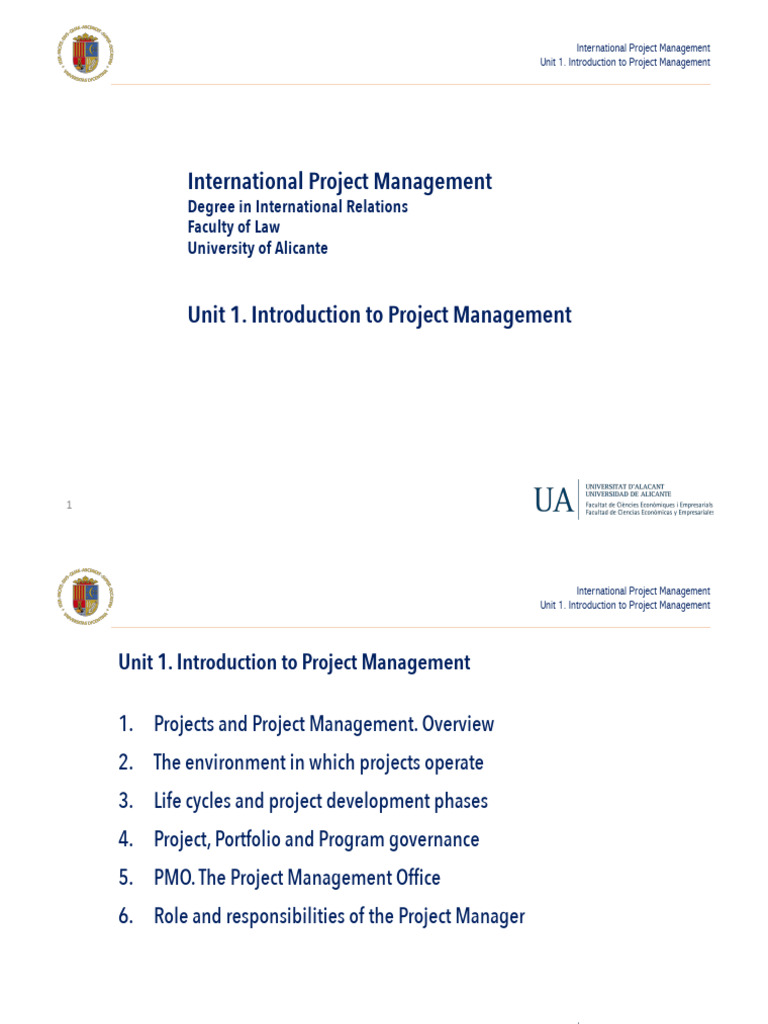 DPI UNIT 1_Theory | PDF | Project Management | Agile Software Development