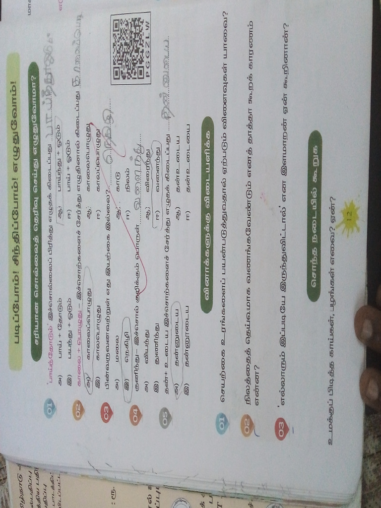 Book Exercises Grade6 | PDF