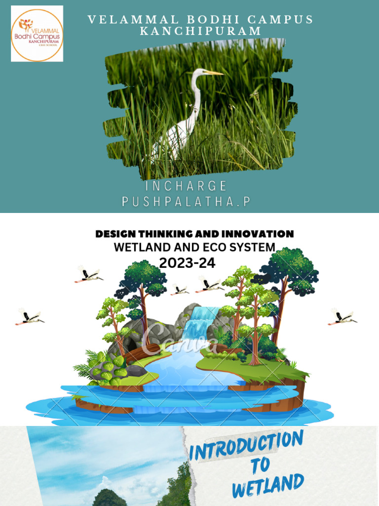 save water ,save earth Rally by scouts students (1) | PDF