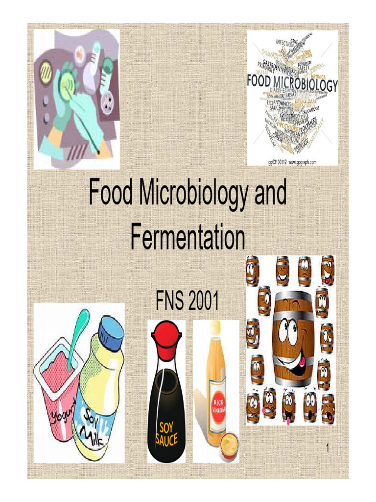 Lecture - Food Microbiology and Fermentation | PDF | Microorganism | Fermentation