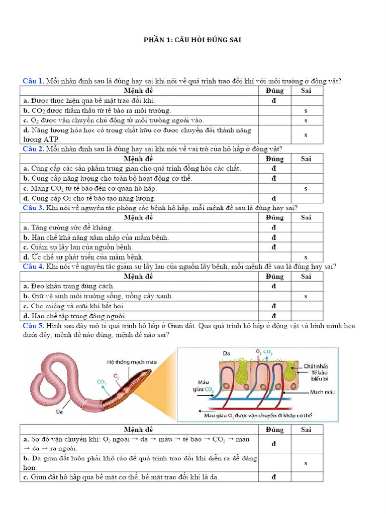 Cau Hoi Dung Sai Ho Hap Dong Vatdocx - 1600 - PDF - Gdrive.vip | PDF