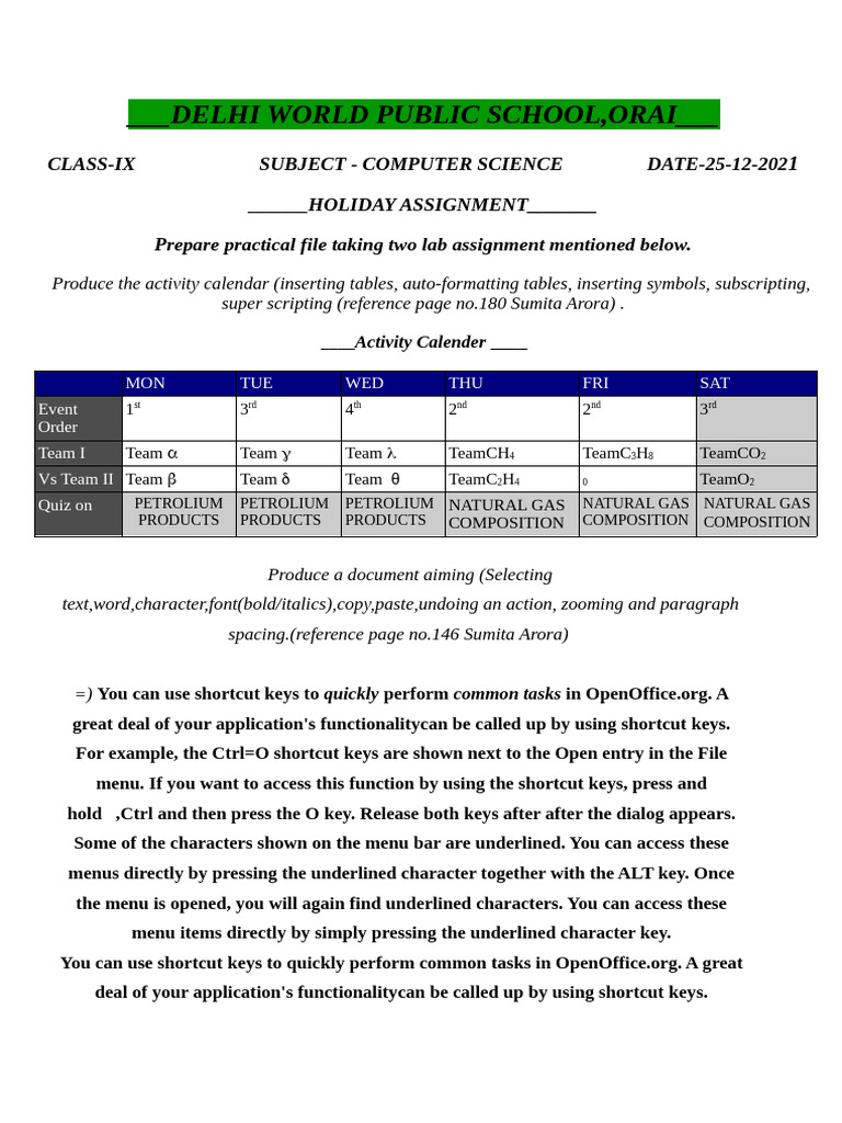 Computer Holiday Assignment | PDF