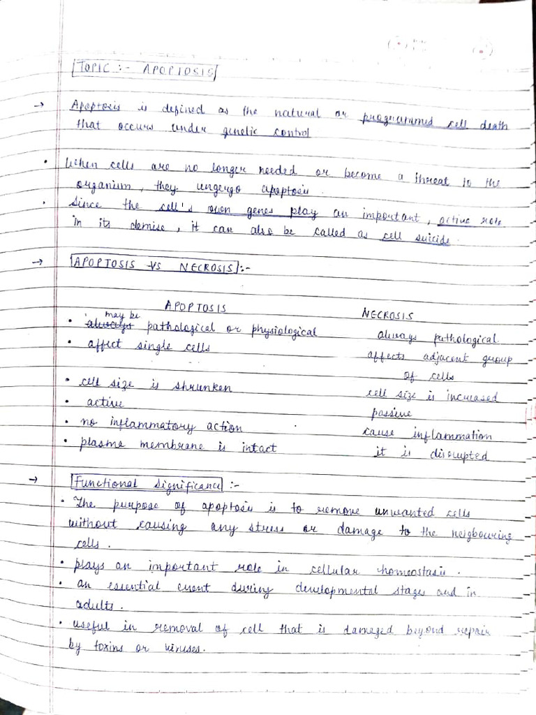 APOPTOSIS | PDF