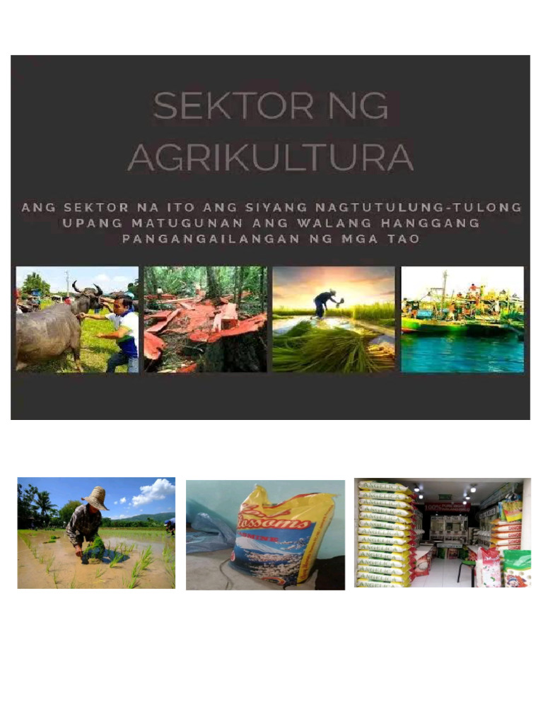 Kuting | PDF