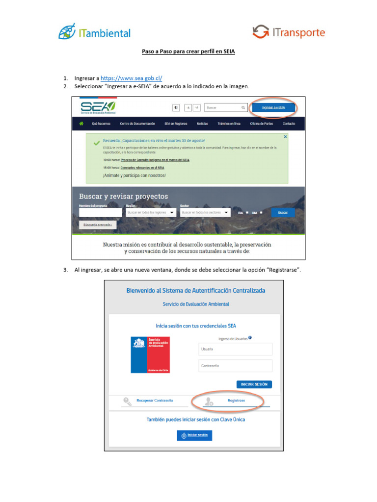Crear perfil en SEIA: Guía paso a paso | PDF