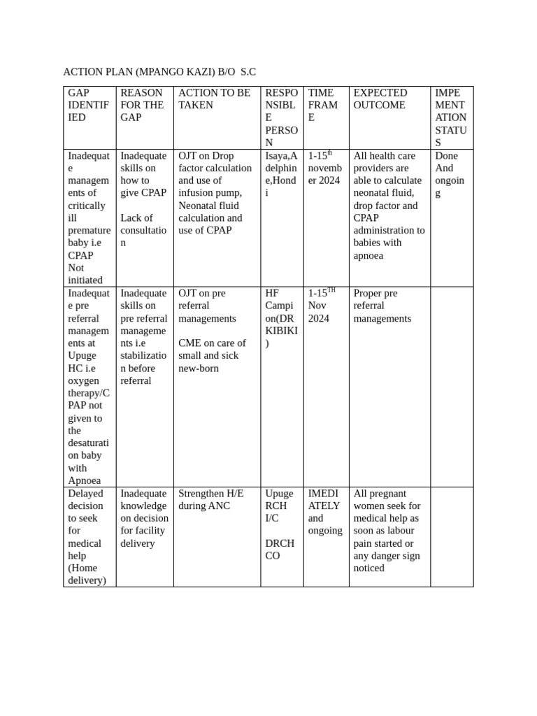 Action Plan MPDSR 30 Oct 2024 | PDF