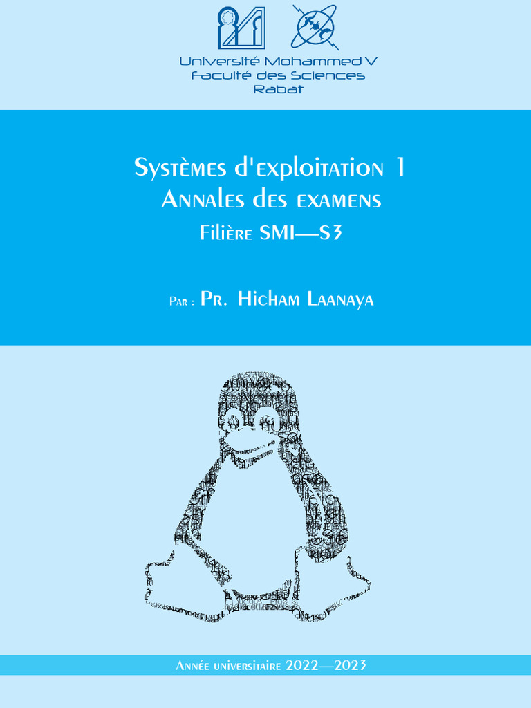 Annales Des Examens SE | PDF