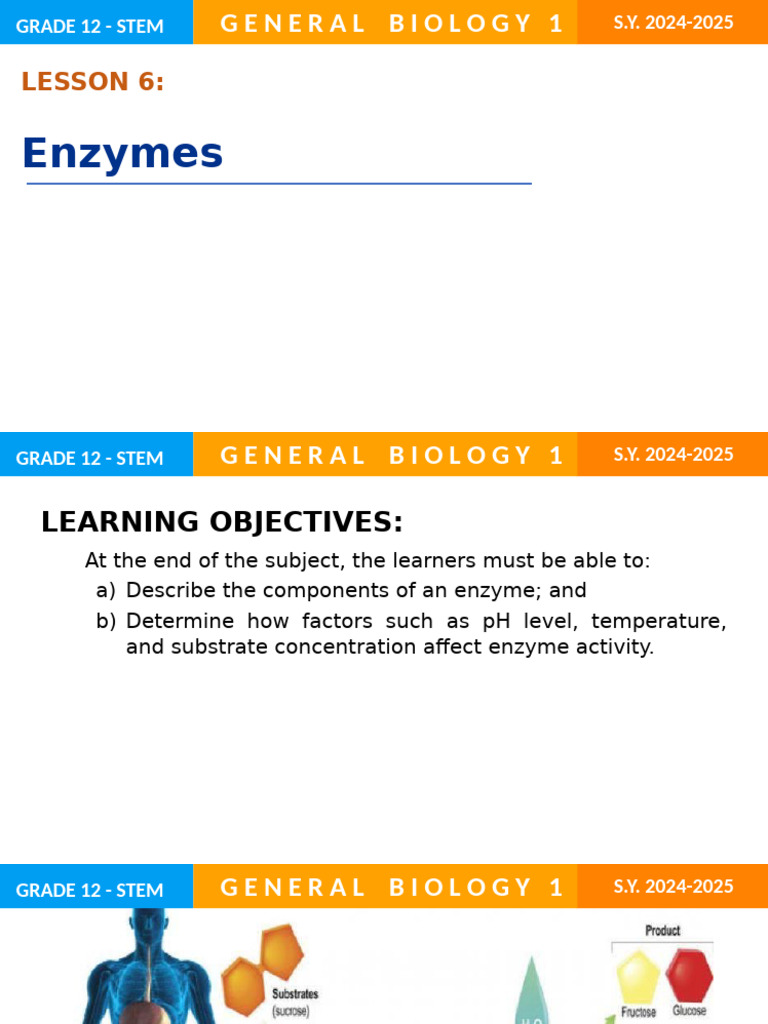 Understanding Enzymes in Biology | PDF | Enzyme | Cofactor (Biochemistry)