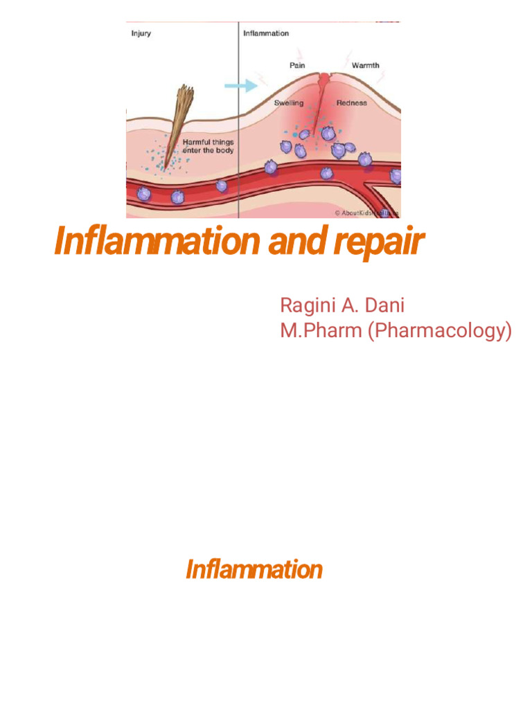 Understanding Inflammation and Healing | PDF | Wound Healing | Inflammation